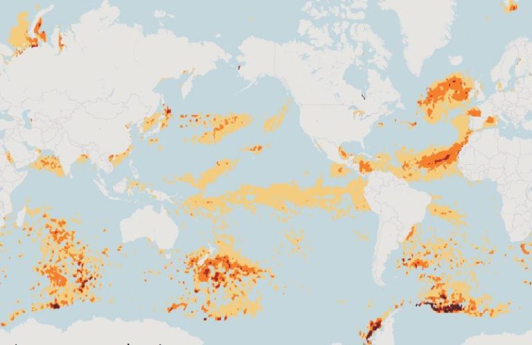 Training Workshops | Friday Harbor Laboratories